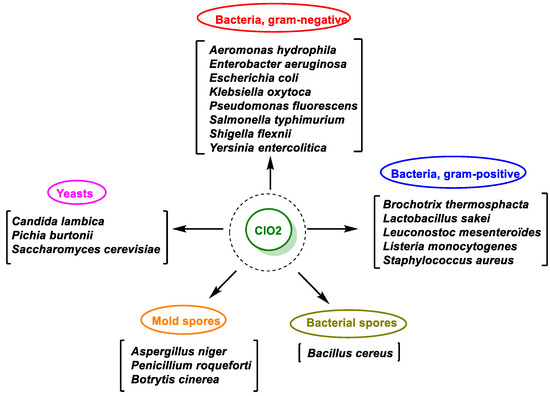 Chlorine Dioxide: Friend or Foe for Cell Biomolecules? A Chemical Approach