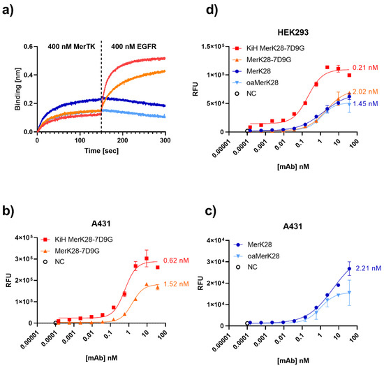 Targeted Phagocytosis Induction for Cancer Immunotherapy via Bispecific ...