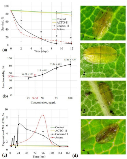 Oligonucleotide Insecticides for Green Agriculture: Regulatory Role of ...