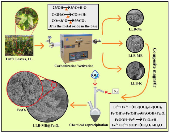 Magnetic Luffa-Leaf-Derived Hierarchical Porous Biochar for Efficient ...
