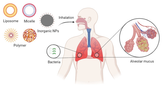 Nanomaterials for Delivering Antibiotics in the Therapy of Pneumonia