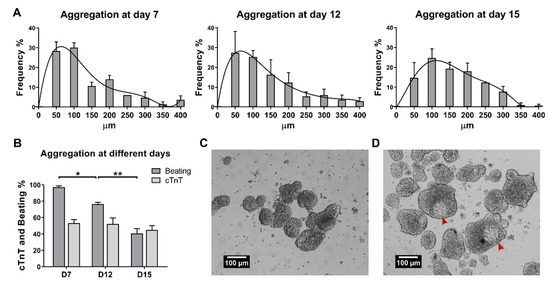 Cost-Effective Mechanical Aggregation of Cardiac Progenitors and ...