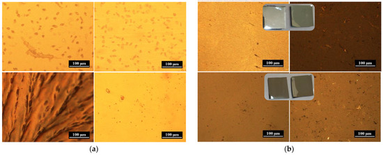 Self-Standing Bioinspired Polymer Films Doped with Ultrafine Silver ...