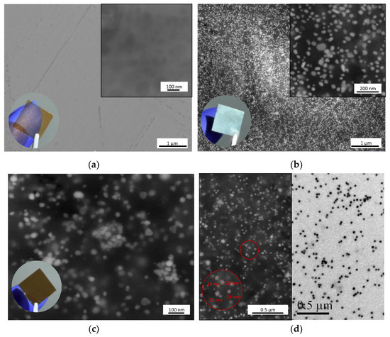 IJMS | Free Full-Text | Self-Standing Bioinspired Polymer Films Doped ...