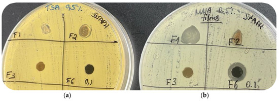 Self-Standing Bioinspired Polymer Films Doped with Ultrafine Silver ...