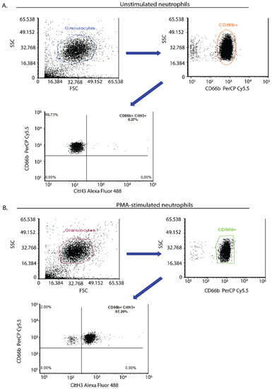 Methods for the Assessment of NET Formation: From Neutrophil Biology to ...