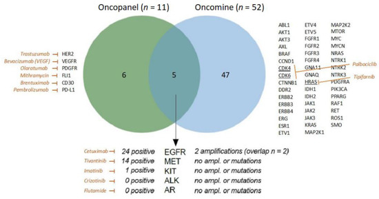 IJMS | Free Full-Text | Protein-Based Oncopanel as Addition to Target ...