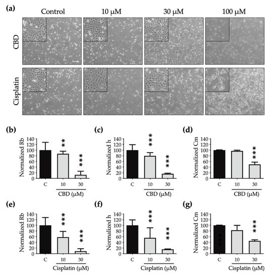 Real-Time Monitoring of the Cytotoxic and Antimetastatic Properties of Cannabidiol in Human Oral ...