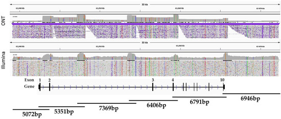 Application of Long-Read Nanopore Sequencing to the Search for ...