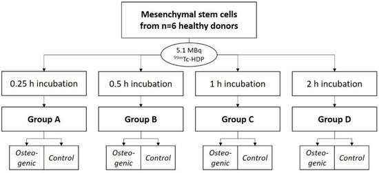 99mTc-HDP Labeling—A Non-Destructive Method for Real-Time Surveillance ...