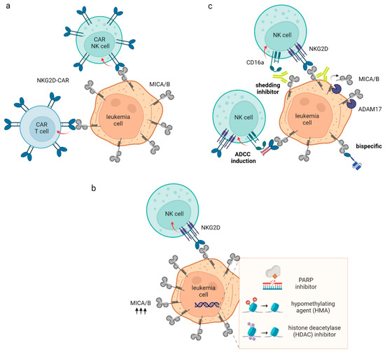 The Latest Breakthroughs in Immunotherapy for Acute Myeloid Leukemia ...