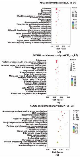 Effects of Light Intensity on Physiological Characteristics and ...