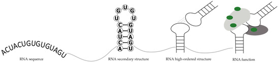 Examples of Structural Motifs in Viral Genomes and Approaches for RNA ...