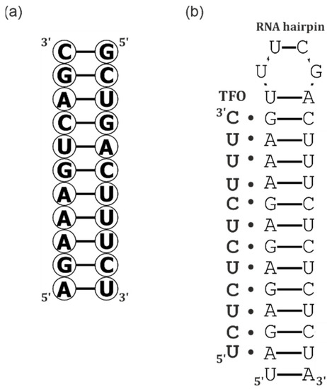 Examples of Structural Motifs in Viral Genomes and Approaches for RNA Structure Characterization