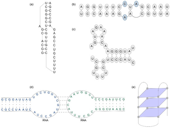 Examples of Structural Motifs in Viral Genomes and Approaches for RNA Structure Characterization