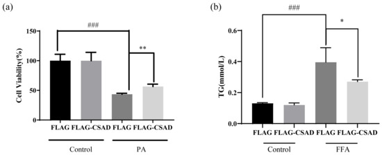 CSAD Ameliorates Lipid Accumulation in High-Fat Diet-Fed Mice