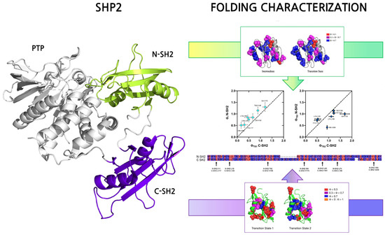 SH2 Domains: Folding, Binding and Therapeutical Approaches
