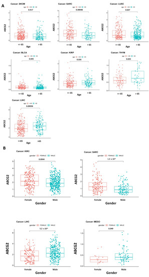 A Pan-Cancer Landscape of ABCG2 across Human Cancers: Friend or Foe?