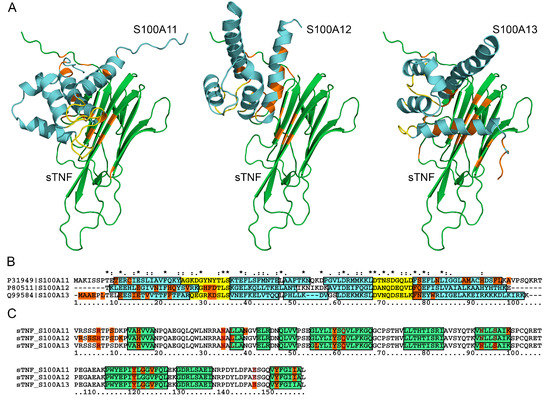 Specific S100 Proteins Bind Tumor Necrosis Factor and Inhibit Its Activity