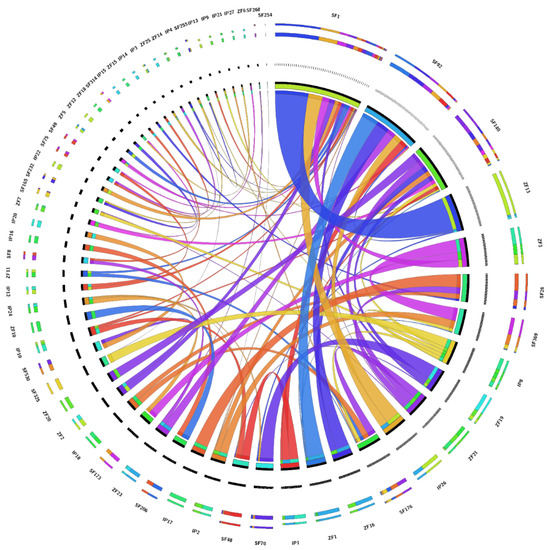 IJMS | Free Full-Text | BAC-FISH Based Physical Map of Endangered ...