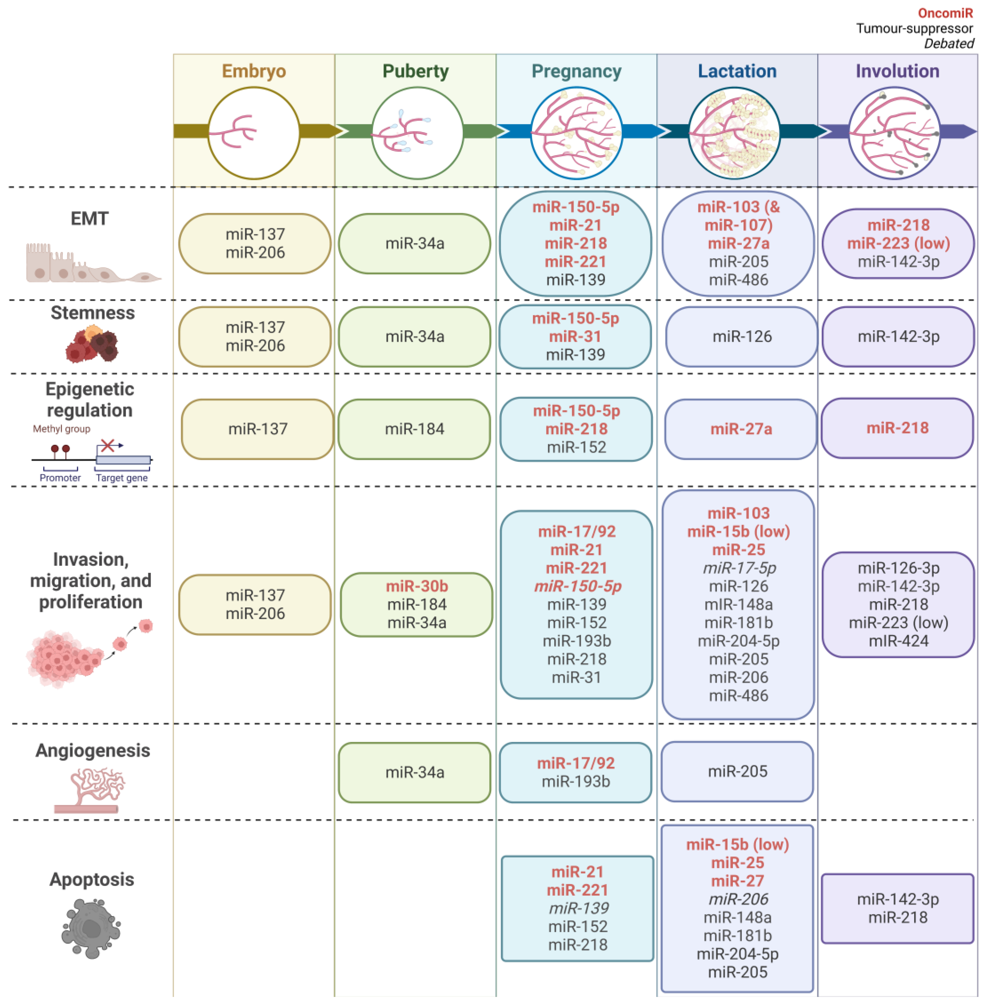 Ijms Free Full Text Micrornas A Link Between Mammary Gland