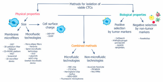 IJMS | Free Full-Text | Technologies for Viable Circulating Tumor Cell ...