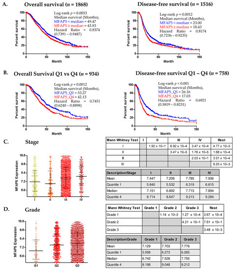 IJMS | Free Full-Text | Microfibril Associated Protein 5 (MFAP5) Is ...
