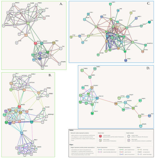 Microfibril Associated Protein 5 (MFAP5) Is Related to Survival of ...