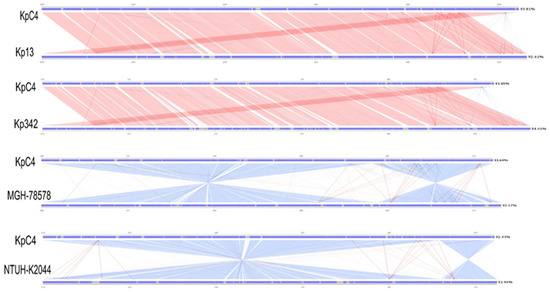 IJMS | Free Full-Text | Novel Virulence Factors Deciphering Klebsiella pneumoniae KpC4 Infect ...
