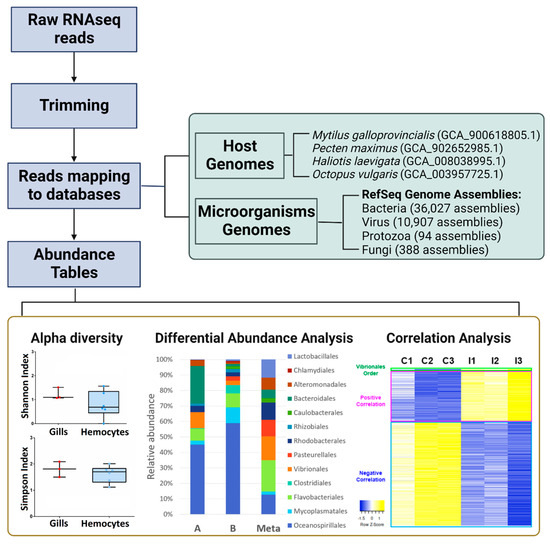 Exploring the Potential of Metatranscriptomics to Describe Microbial ...