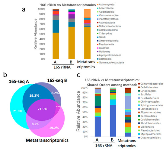 Exploring the Potential of Metatranscriptomics to Describe Microbial Communities and Their ...