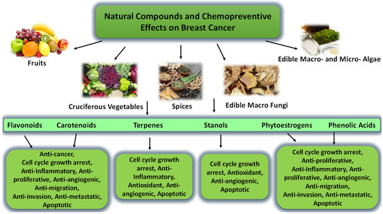 Anticancer Effects of Fucoxanthin through Cell Cycle Arrest, Apoptosis ...