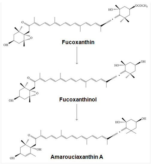 Anticancer Effects of Fucoxanthin through Cell Cycle Arrest, Apoptosis ...