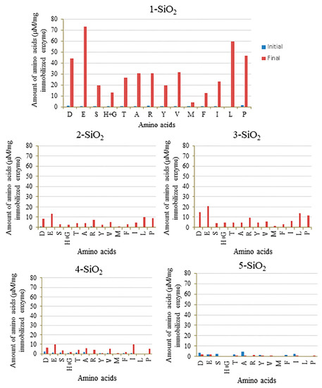 Immobilization of Alcalase on Silica Supports Modified with Carbosilane ...