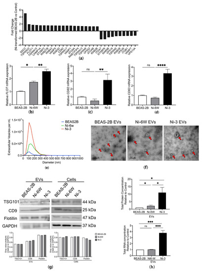 Extracellular Vesicles as Mediators of Nickel-Induced Cancer Progression