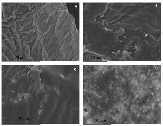 Exploring Saduria entomon (Crustacea Isopoda) as a New Source for ...