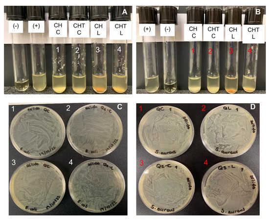 Exploring Saduria entomon (Crustacea Isopoda) as a New Source for ...