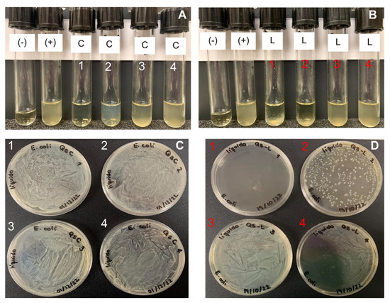 Exploring Saduria entomon (Crustacea Isopoda) as a New Source for ...