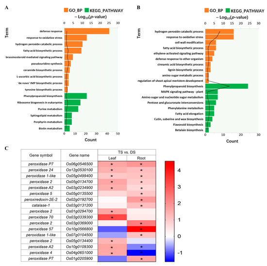 Comparative Analysis of Physiological, Hormonal and Transcriptomic Responses Reveal Mechanisms ...