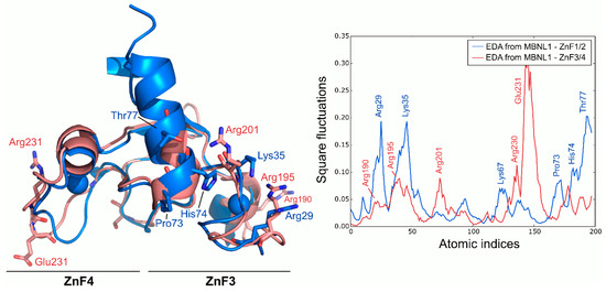 Cognate RNA-Binding Modes by the Alternative-Splicing Regulator MBNL1 ...