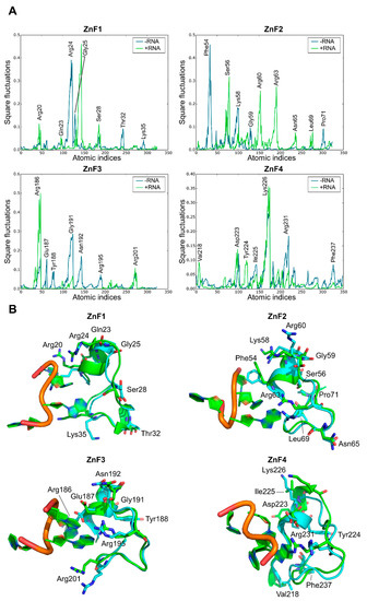 Cognate RNA-Binding Modes by the Alternative-Splicing Regulator MBNL1 ...