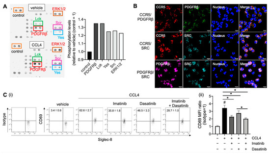 CCL4 Regulates Eosinophil Activation in Eosinophilic Airway Inflammation