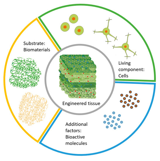 Biodegradable and Non-Biodegradable Biomaterials and Their Effect on ...