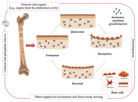 Advanced 3D Magnetic Scaffolds for Tumor-Related Bone Defects