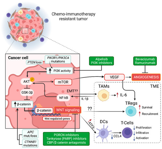 Differentially Expressed Genes and Signaling Pathways Potentially ...