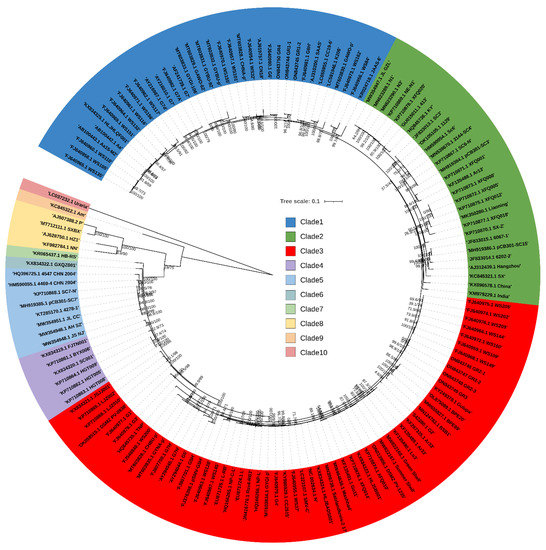 Evolution and Phylogeny of Soybean Mosaic Virus Based on 143 Complete ...
