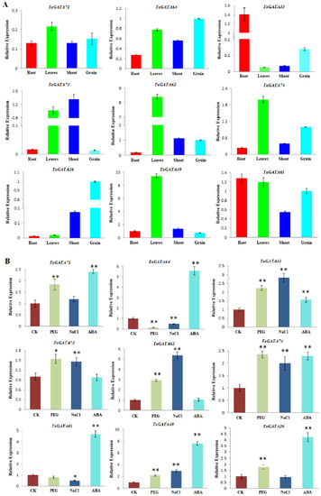 Genome-Wide Analysis of Wheat GATA Transcription Factor Genes Reveals ...