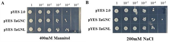 Genome-Wide Analysis of Wheat GATA Transcription Factor Genes Reveals ...
