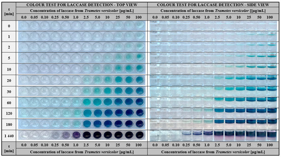 Colourimetric Plate Assays Based on Functionalized Gelatine Hydrogel ...
