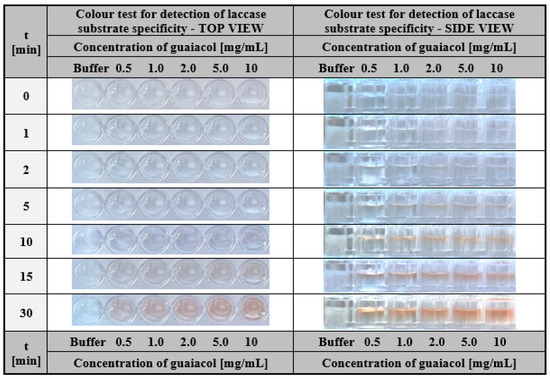 IJMS | Free Full-Text | Colourimetric Plate Assays Based on ...